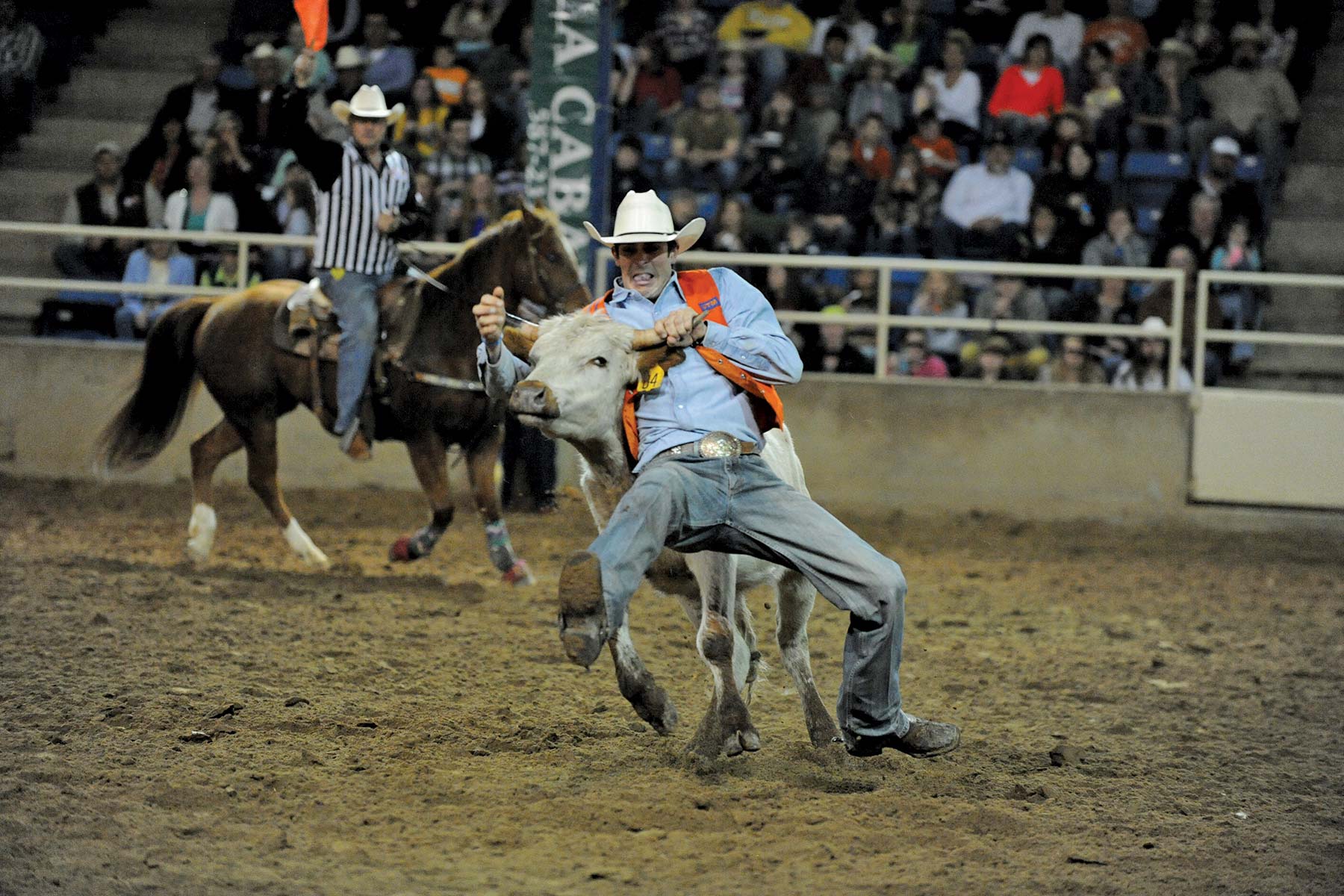 Not their First Rodeo — Our Tennessee