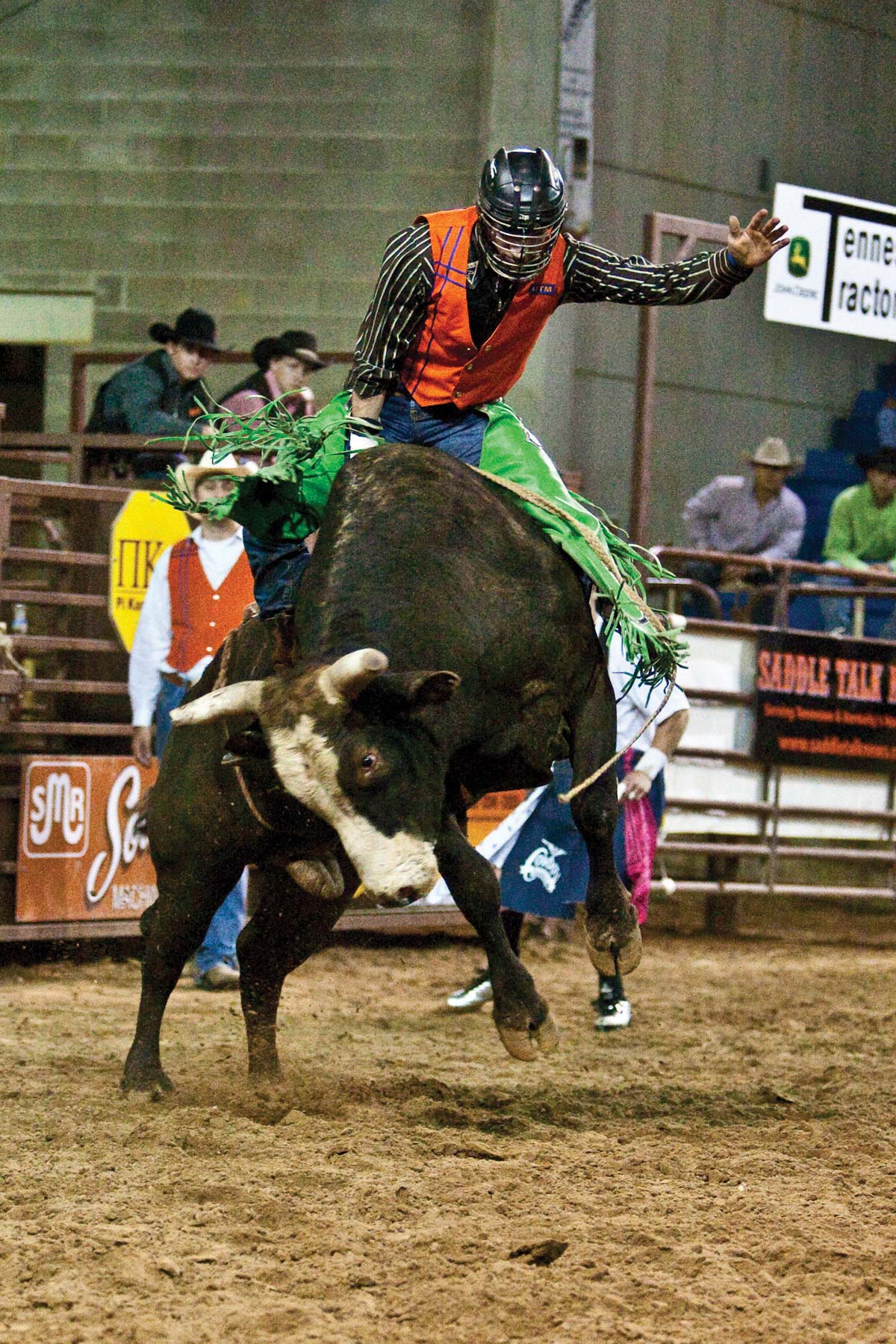 Not their First Rodeo — Our Tennessee