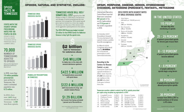 Opioid Facts In Tennessee Our Tennessee
