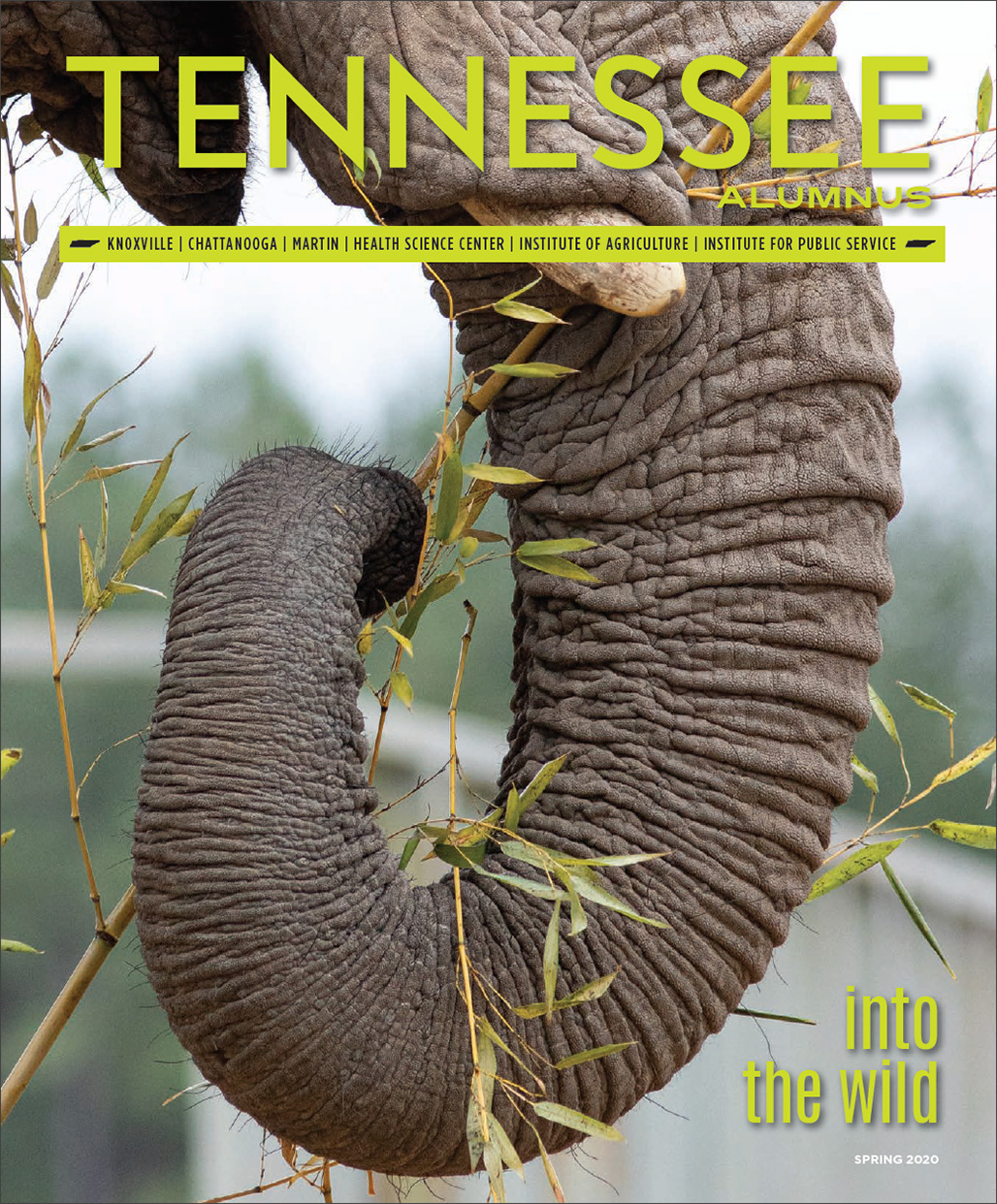 Past Issues — Our Tennessee