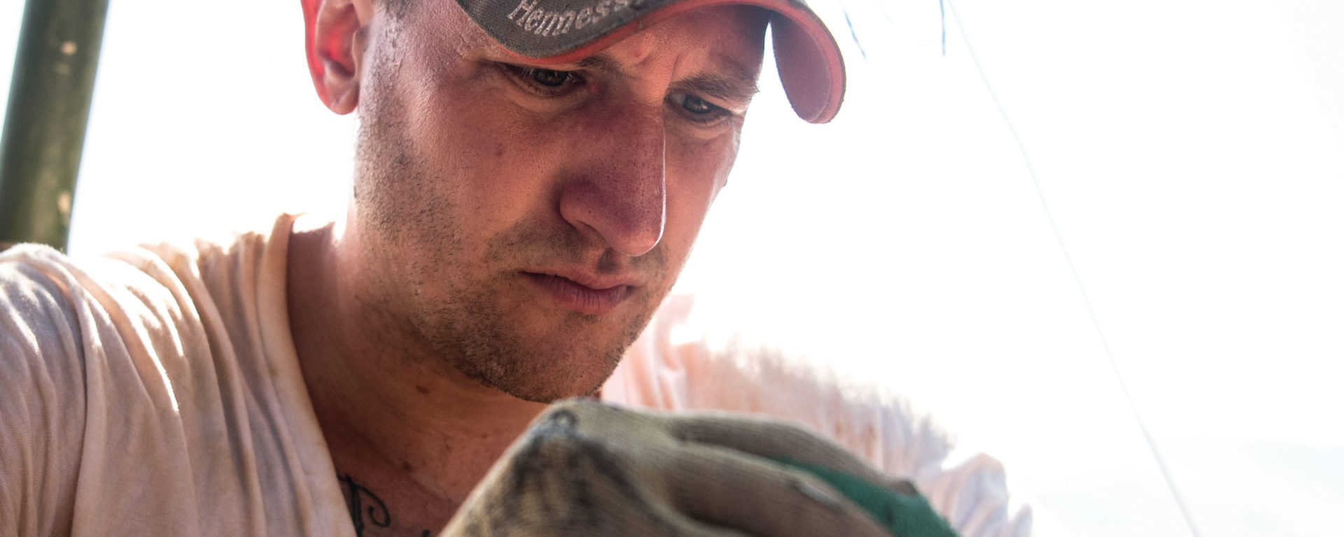 A Nation's Promise — Our Tennessee