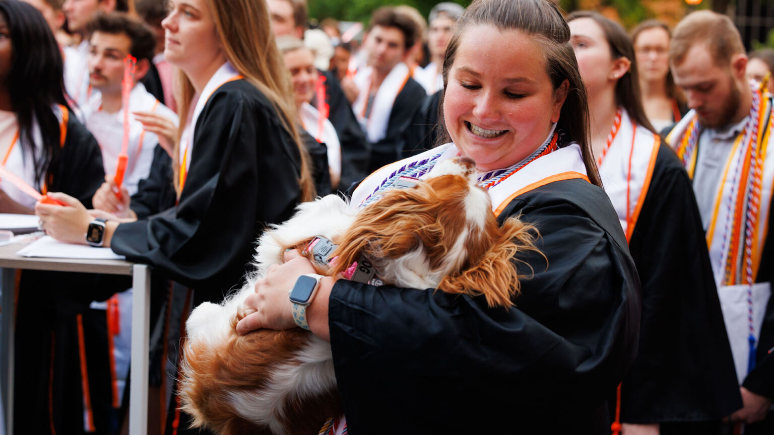 Veterinary Social Work — Our Tennessee